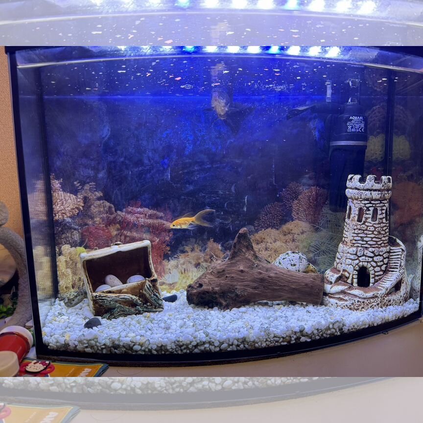 Аквариум 30 литров