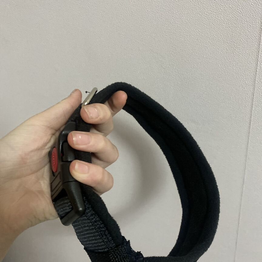 Ошейники для собак на заказ