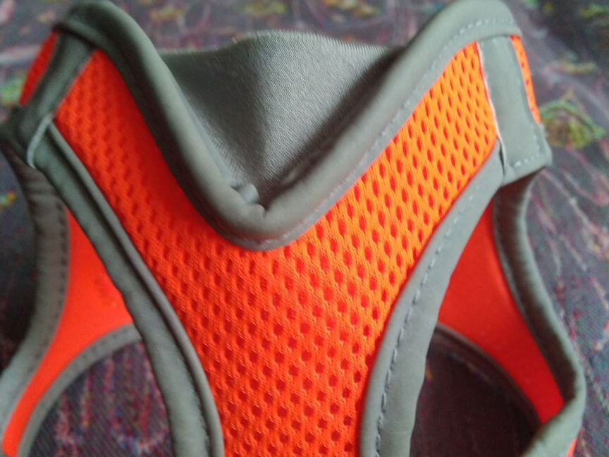 Шлейка для маленькой собаки XS