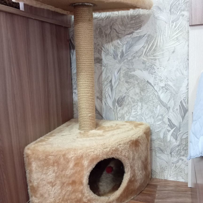 Кошачий уголок