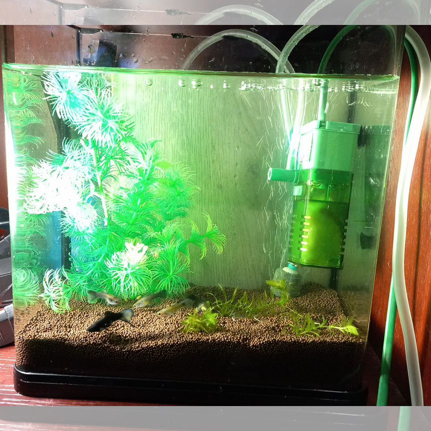 Аквариум prime с рыбками