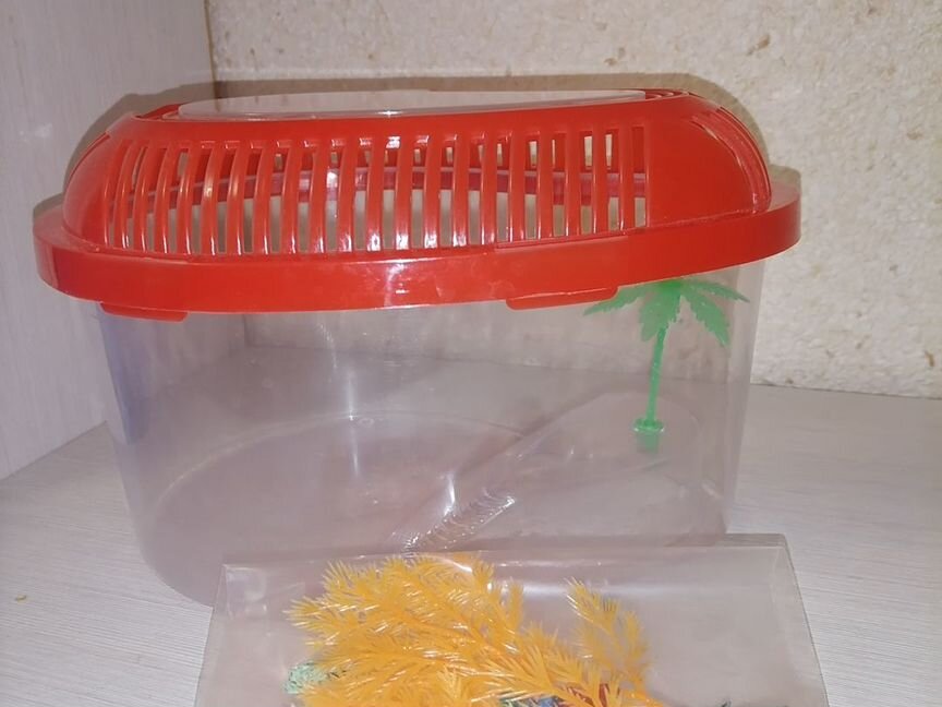 Контейнер для черепашек