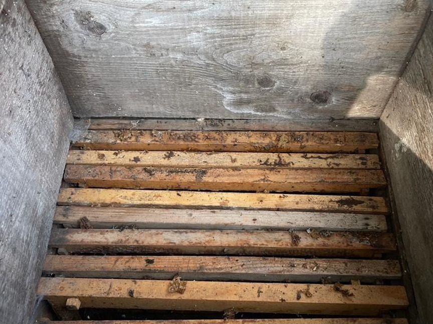 Улики для пчел