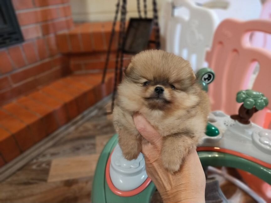 Мини мальчишечка