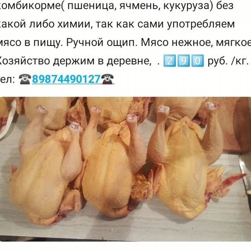Куры бройлеры тушки