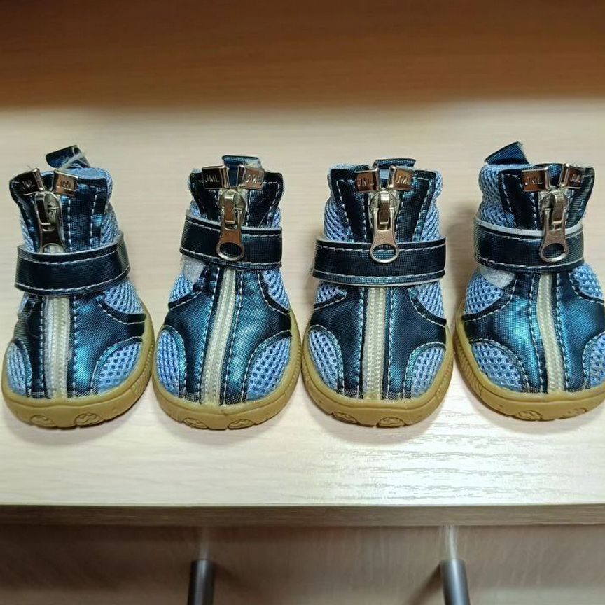 Ботинки для маленьких собак