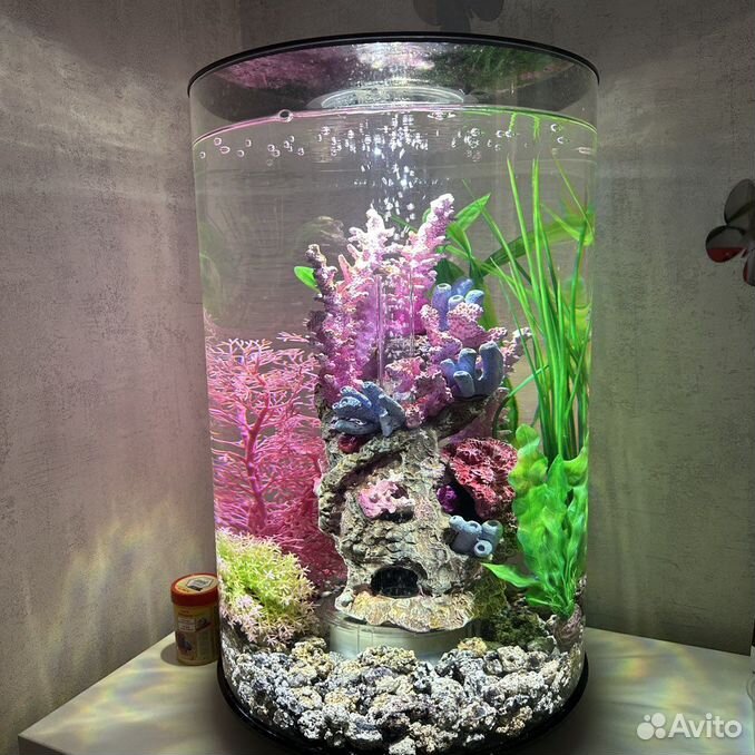 Аквариум Biorb Tube 30 c декором