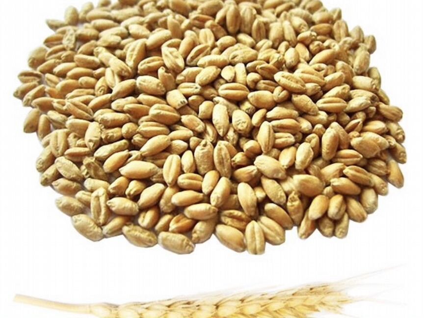 Пшеница, зерно, дробленка в мешках. Доставка