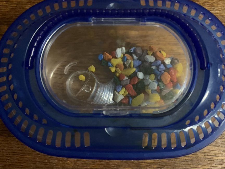 Аквариум для красноухой черепахи