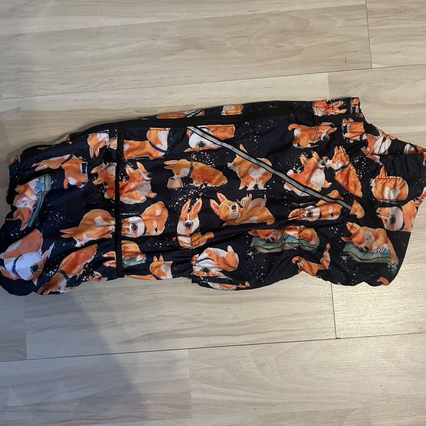 Дождевик для корги, таксы, мальчика