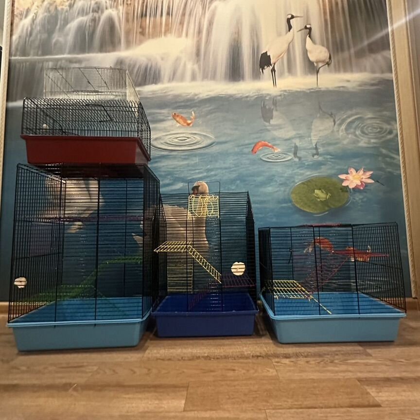 Клетки для крыс, хомячков