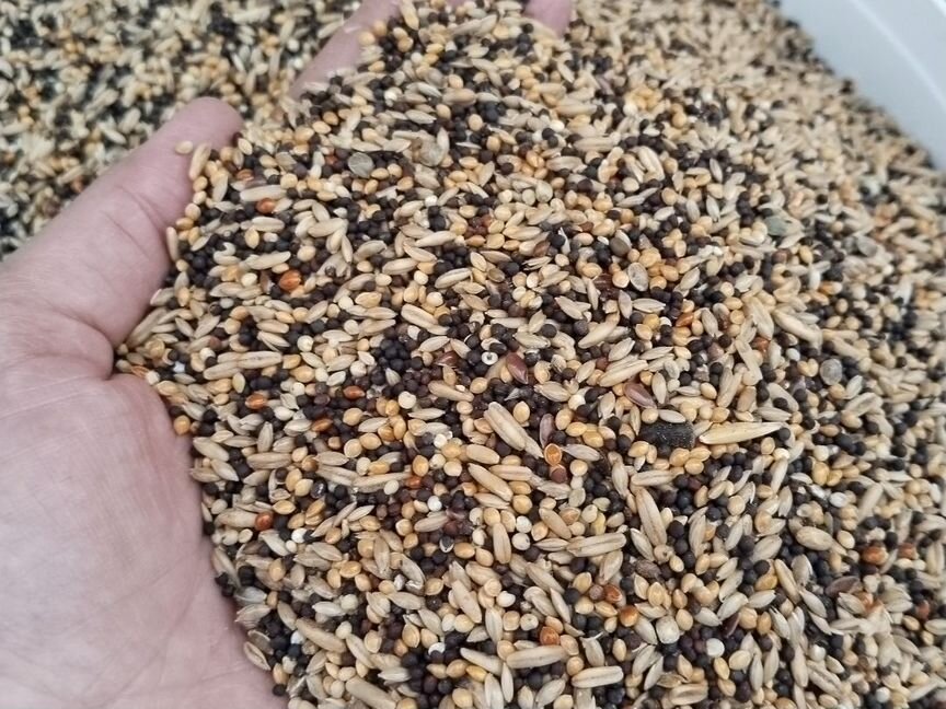 Корм для певчих птиц