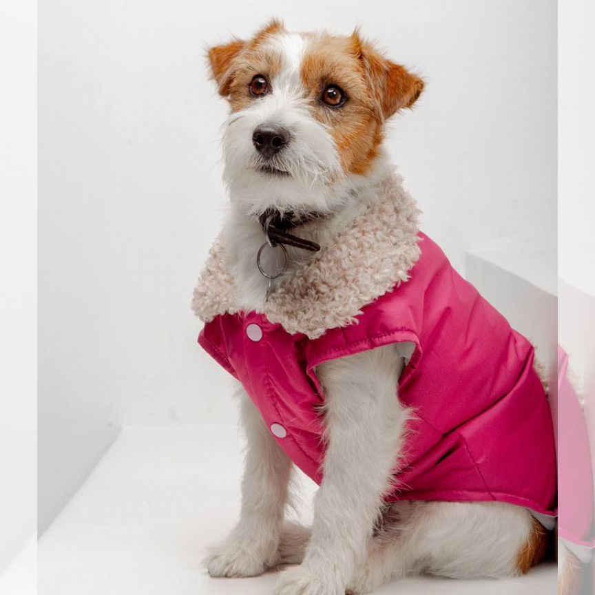 Жилетка куртка для собаки с мехом