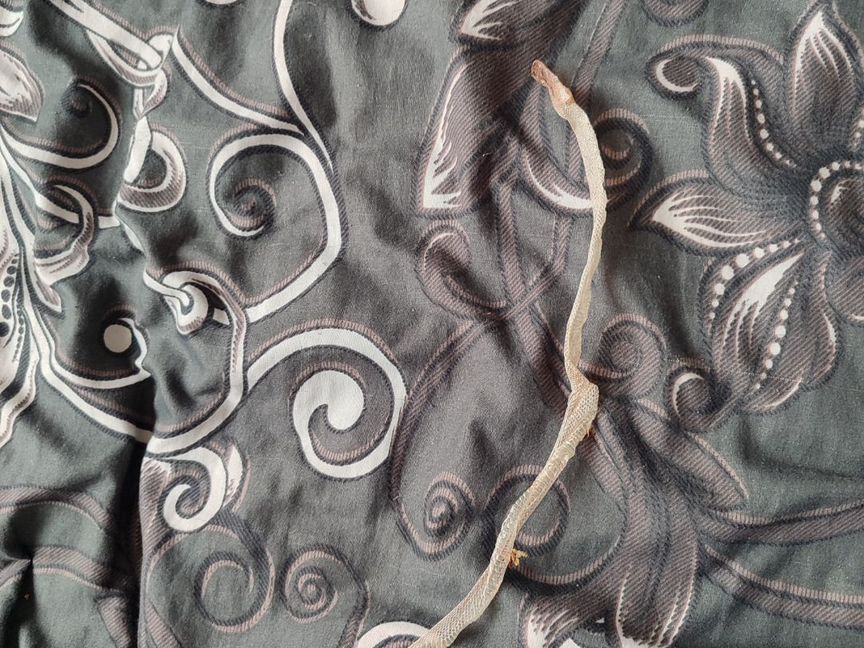 Выползок кожа змеи