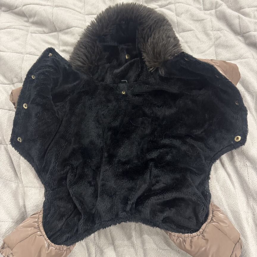 Одежда для собак