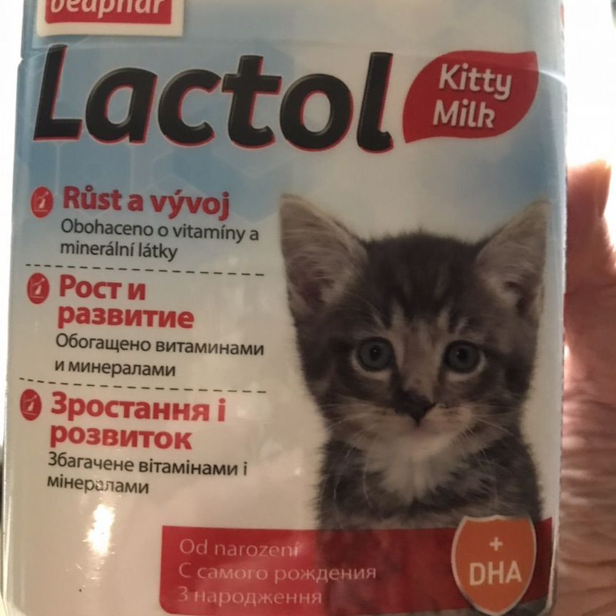 Смесь для новорожденных котят