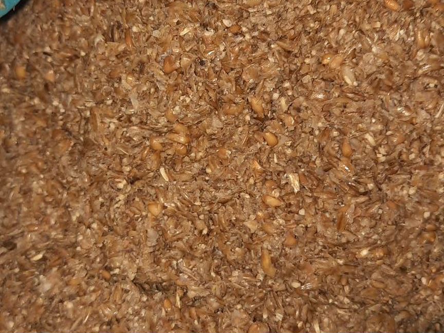 Пивная дробина