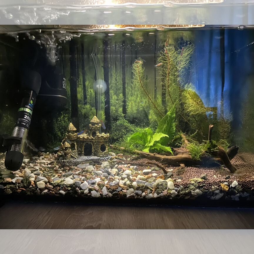 Аквариум 20 литров   оборудование