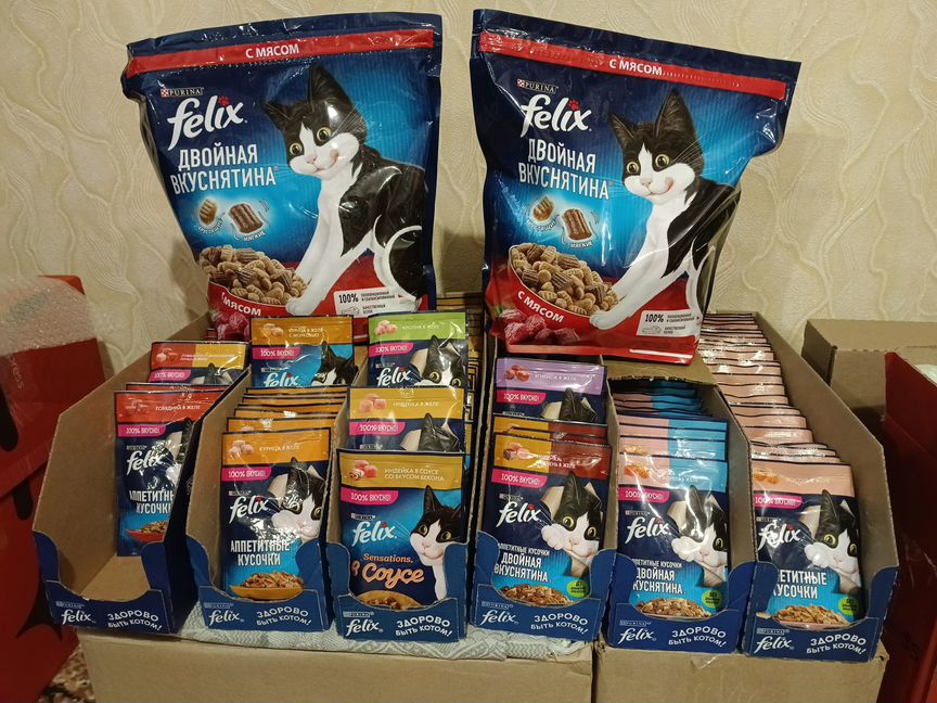 Сухие и влажные корма для кошек