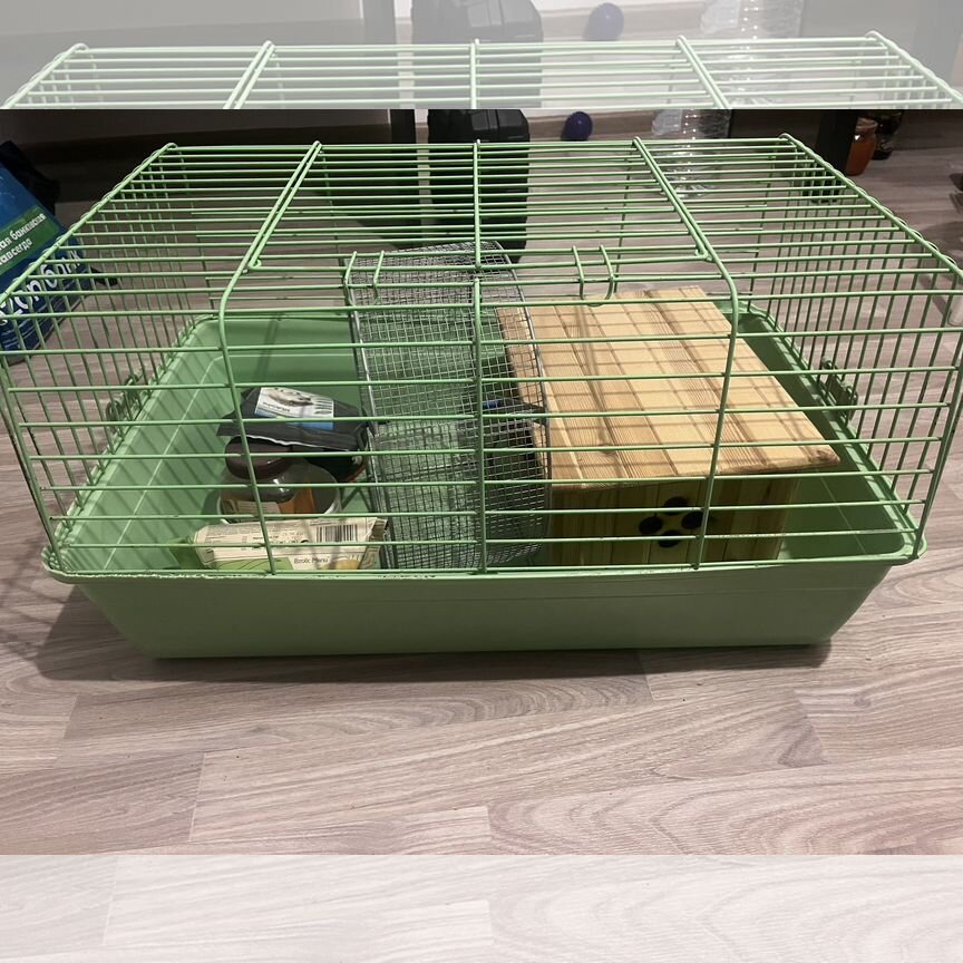 Клетка, домик, колесо, корм