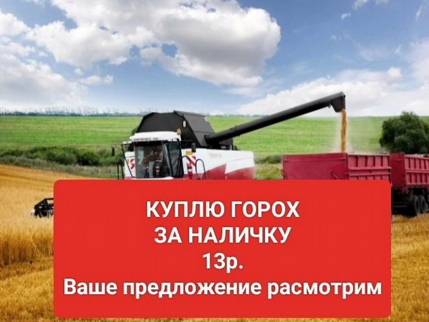 Горох К.У.п.Л.Ю