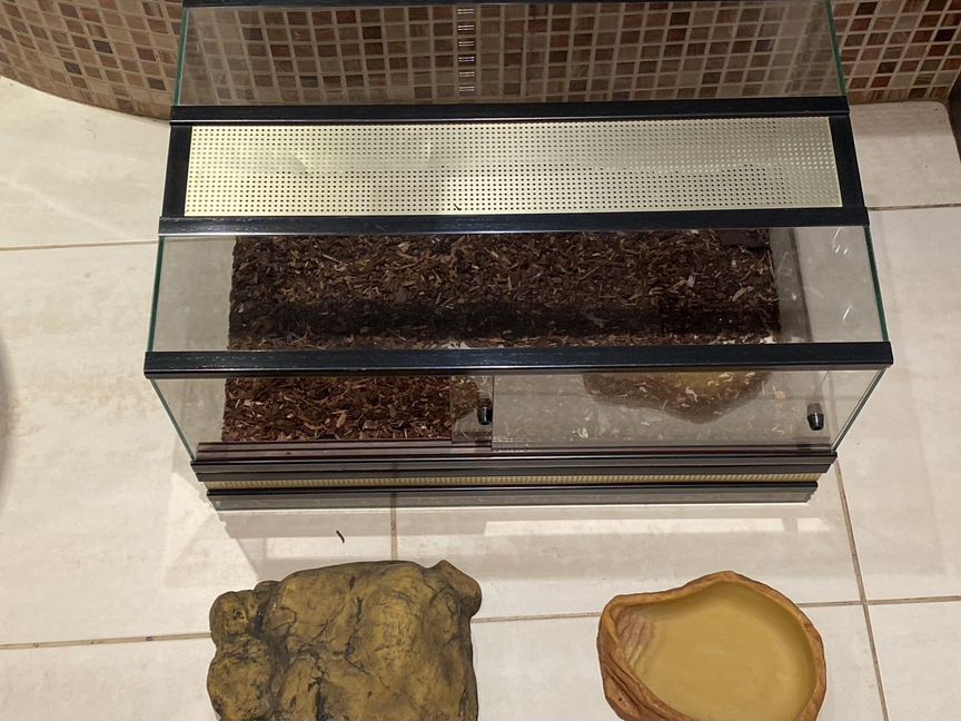 Террариум для рептилий бу