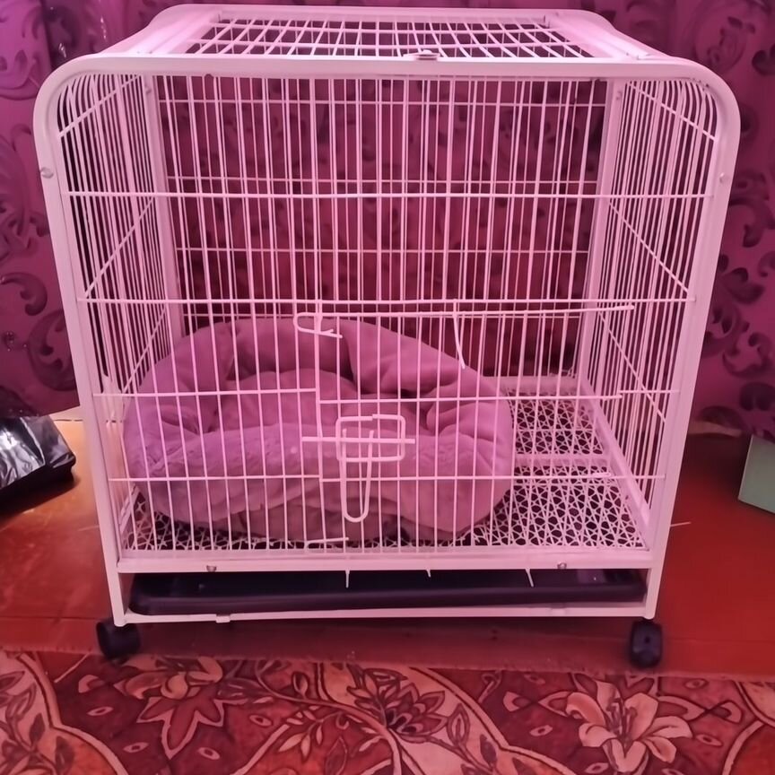 Клетка для кошки