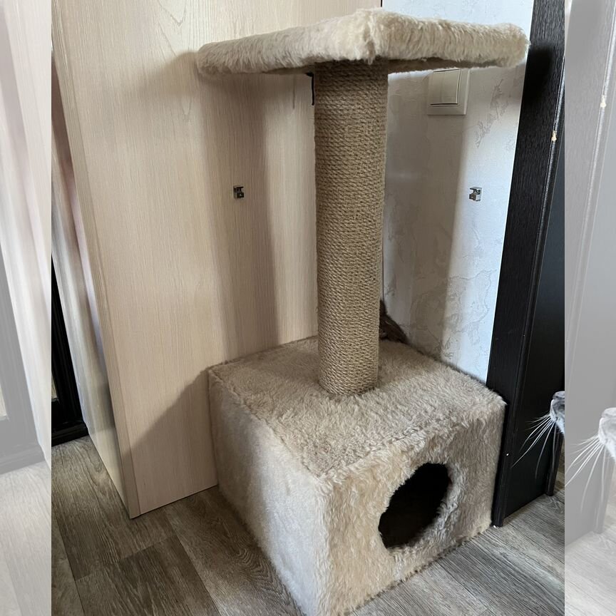 Когтеточка-домик для кошек