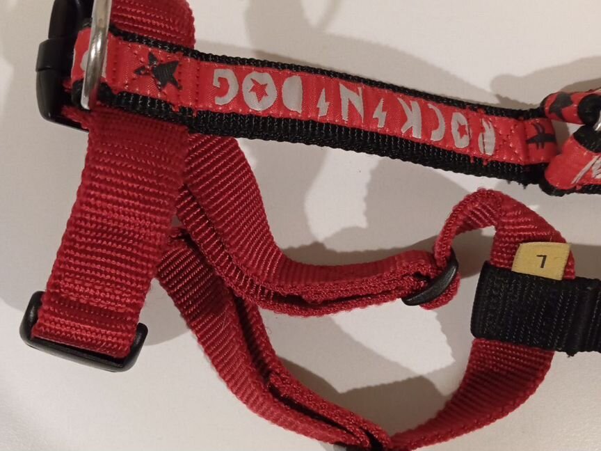 Шлейка и поводок 3м Шарик дог Rock'n'Dog