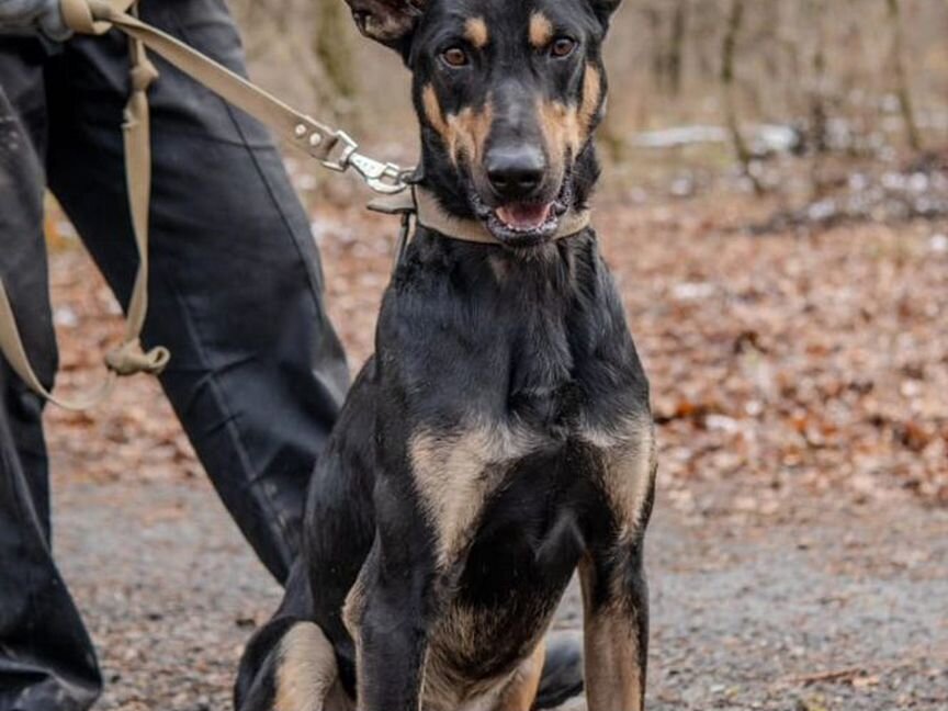 Связист найдёт код от вашего сердца