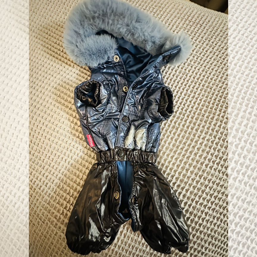 Одежда для маленьких собак