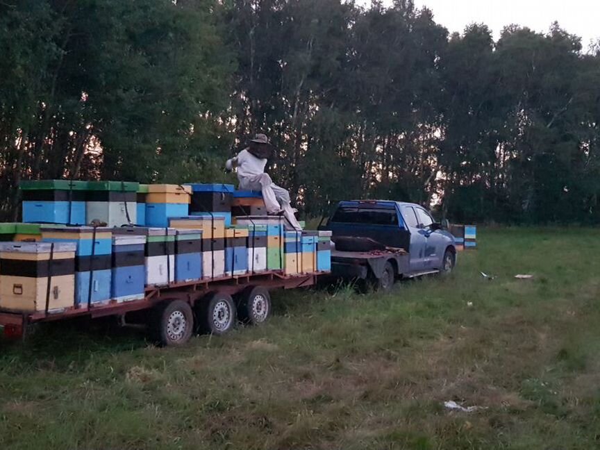 Прицеп пчеловоз, 2018
