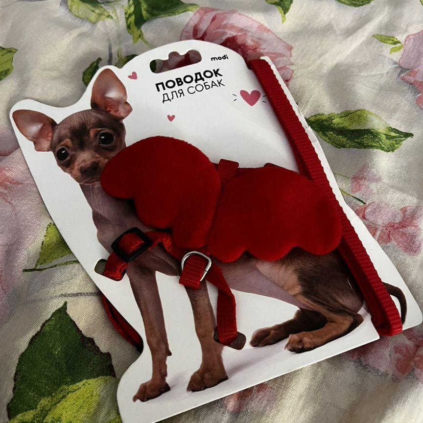 Шлейка для маленьких пород с крылышками