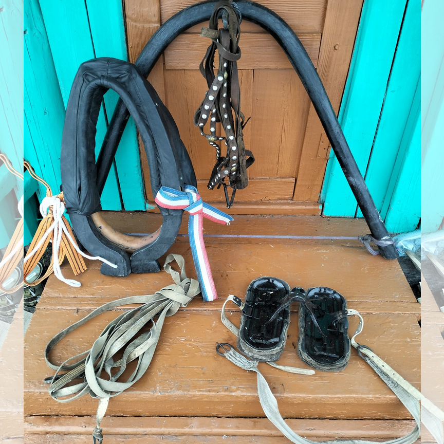 Конная сбруя