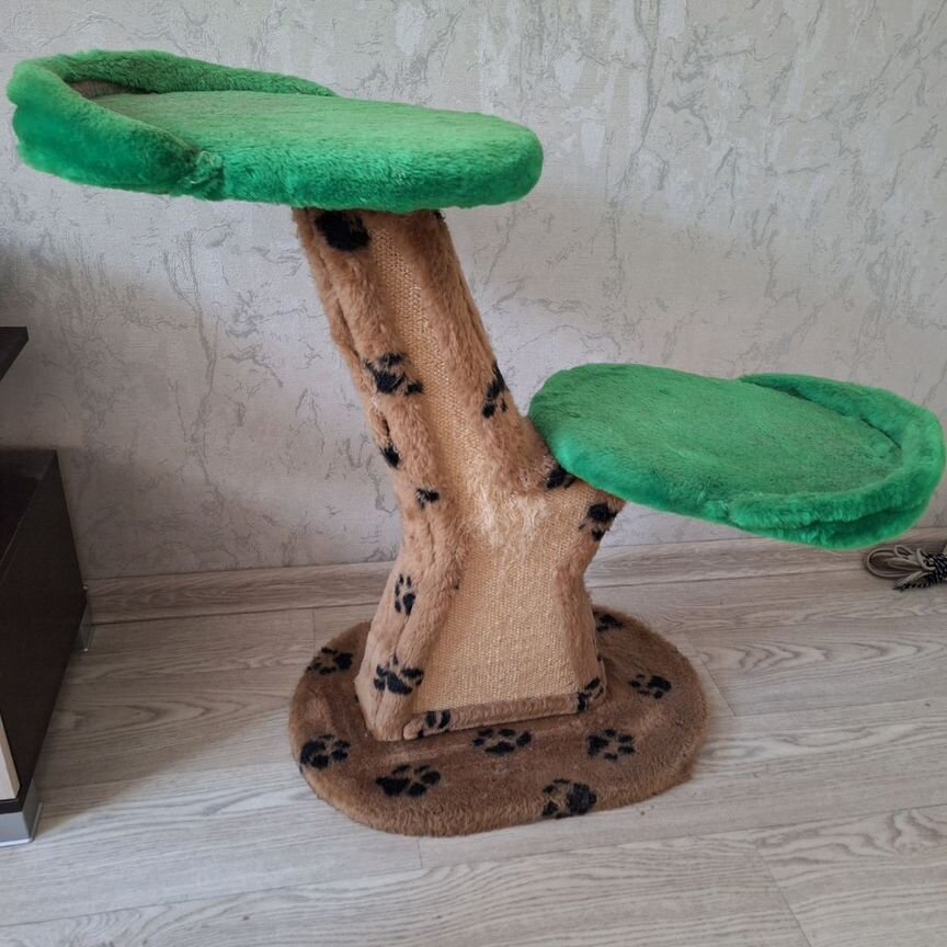 Когтеточка