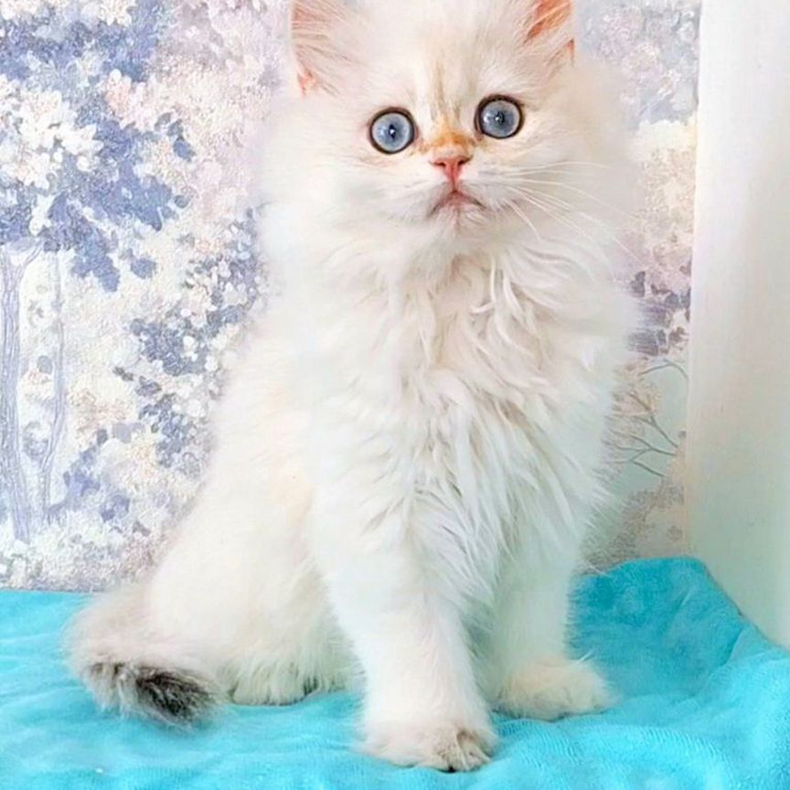 Малыш Нафаня