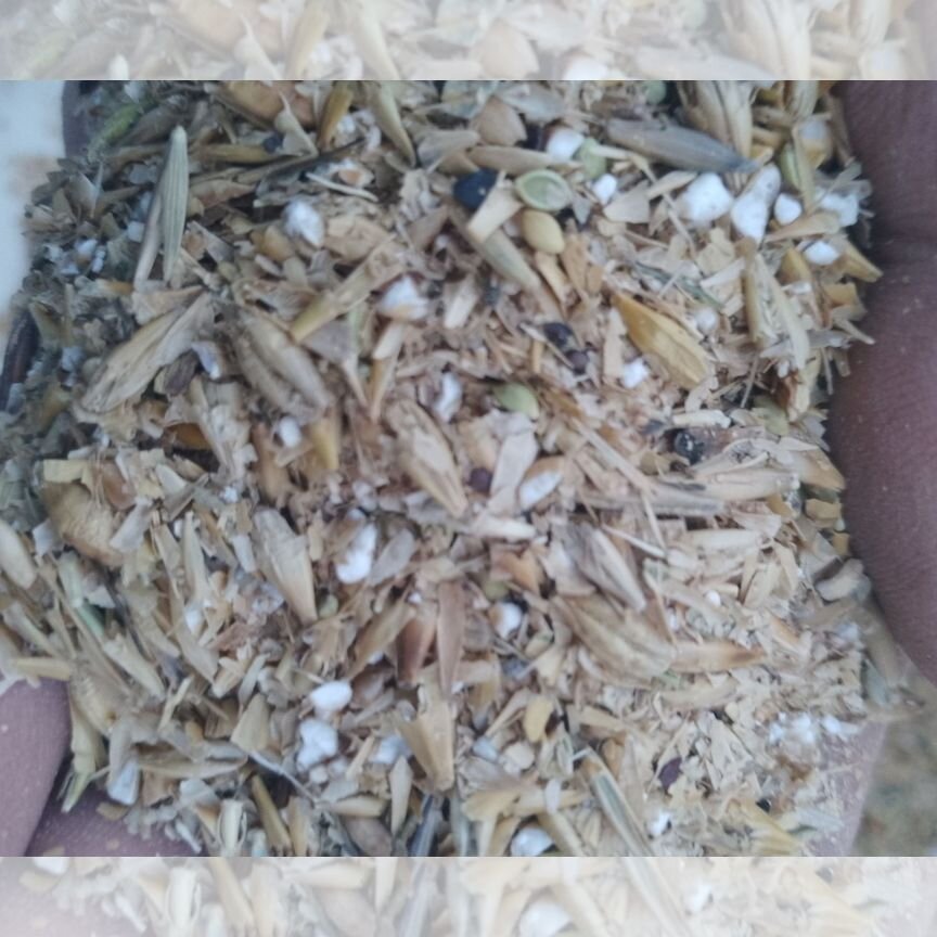 Дробленное зерно