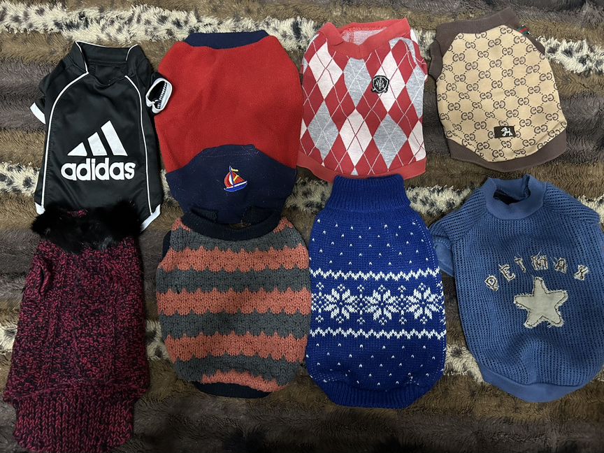 Вещи пакетом для мелких пород собак