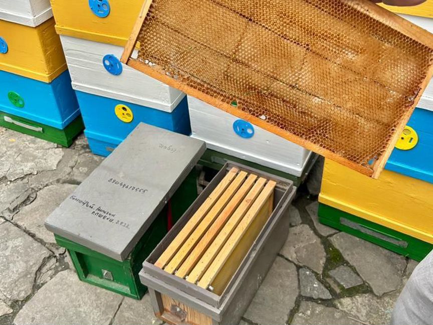 Ловушка для пчел