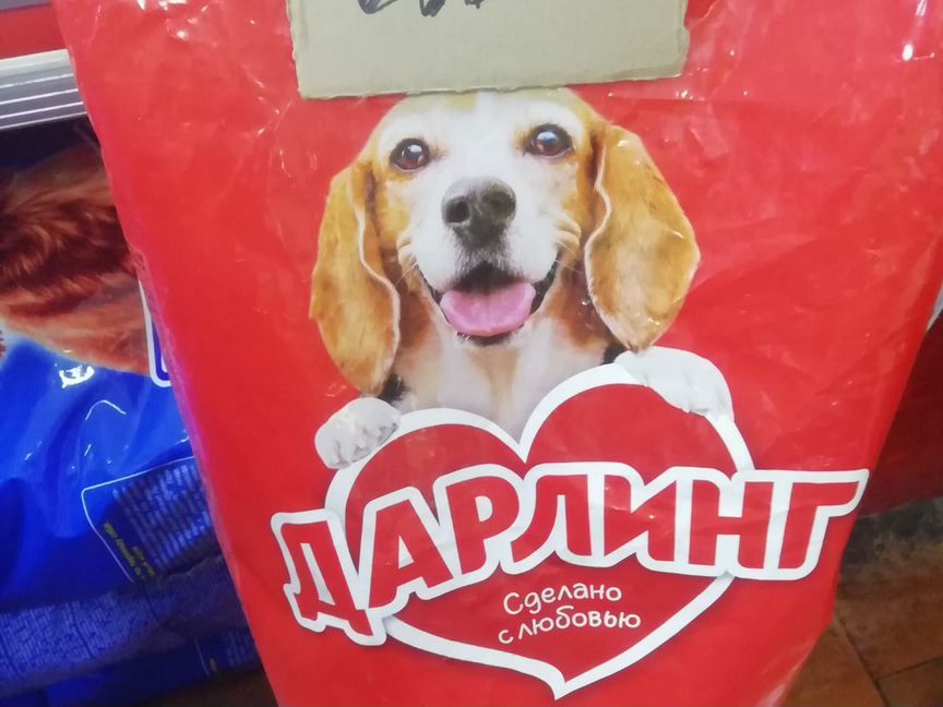 Корм для собак