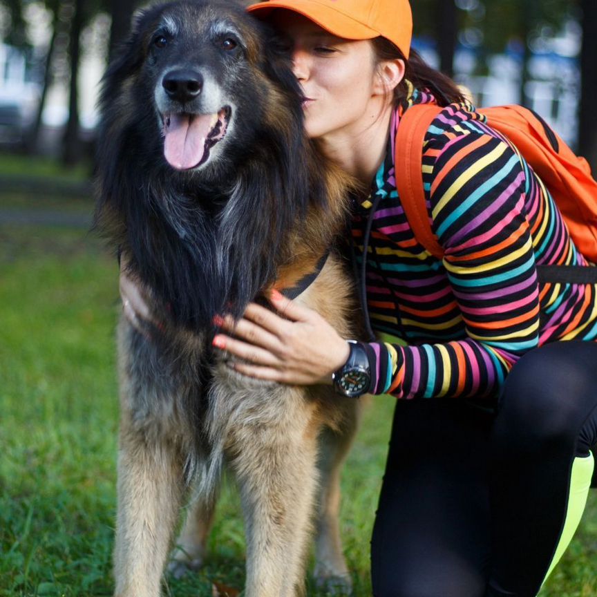 Онлайн- консультации ветеринара