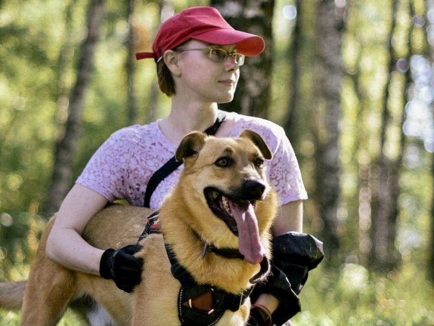 Энергичный красавчик-пёс из приюта