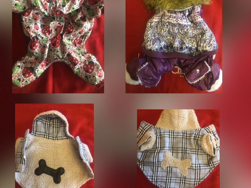 Зимняя одежда для собак мелких пород