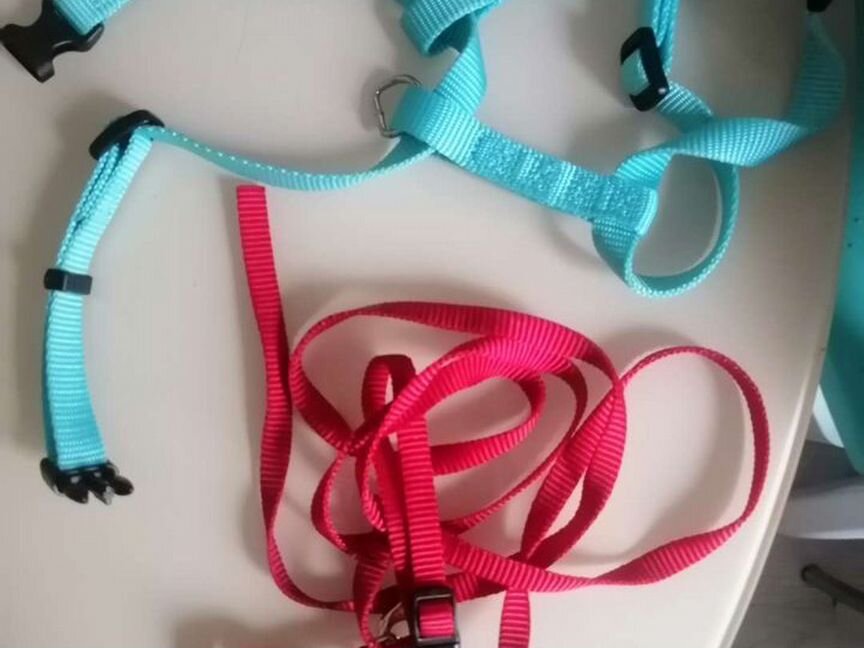 Шлейки для кошки, щеночка или морской свинки