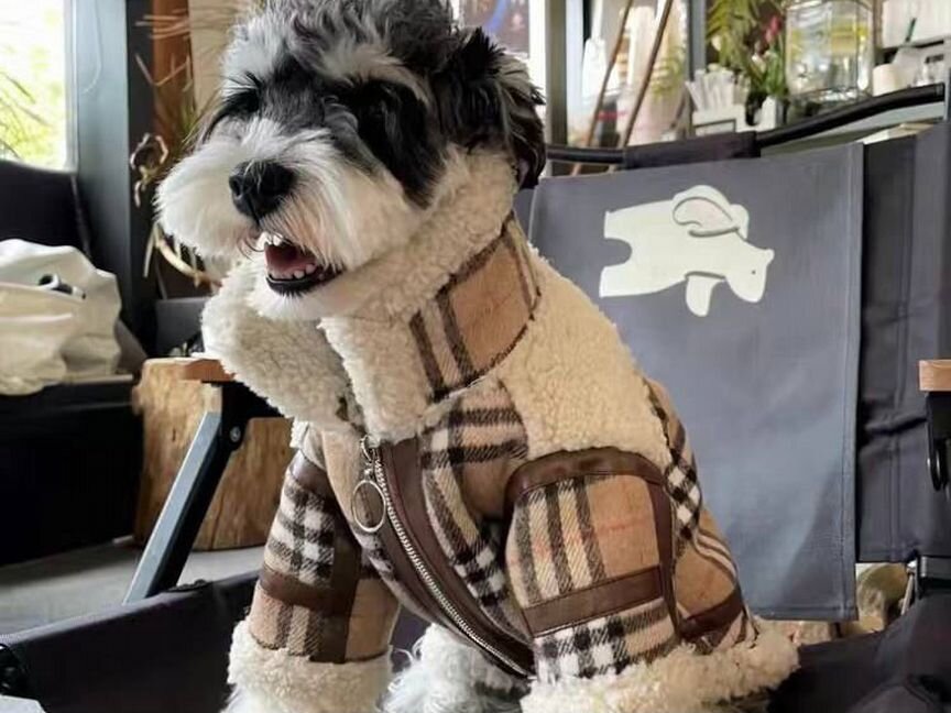 Дубленка теплая для собаки мелкой породы