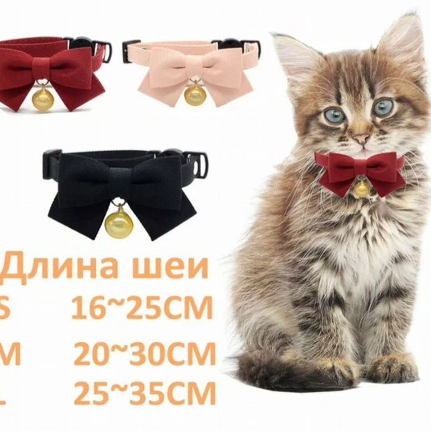 Ожерелье для кошек и щенков