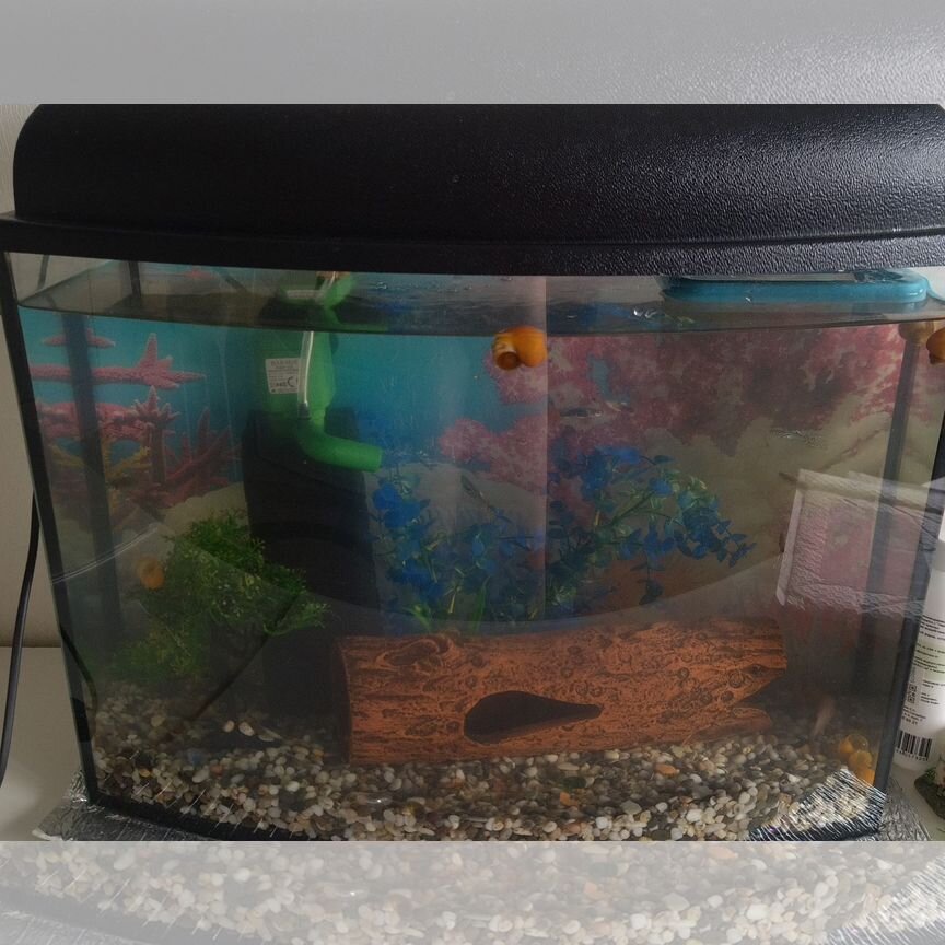 Аквариум
