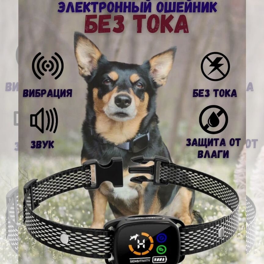 Ошейник антилай