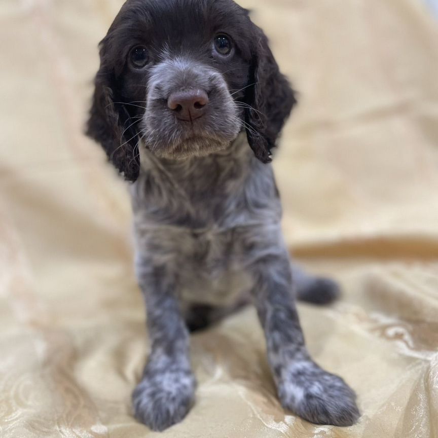 Готова к переезду в новый дом