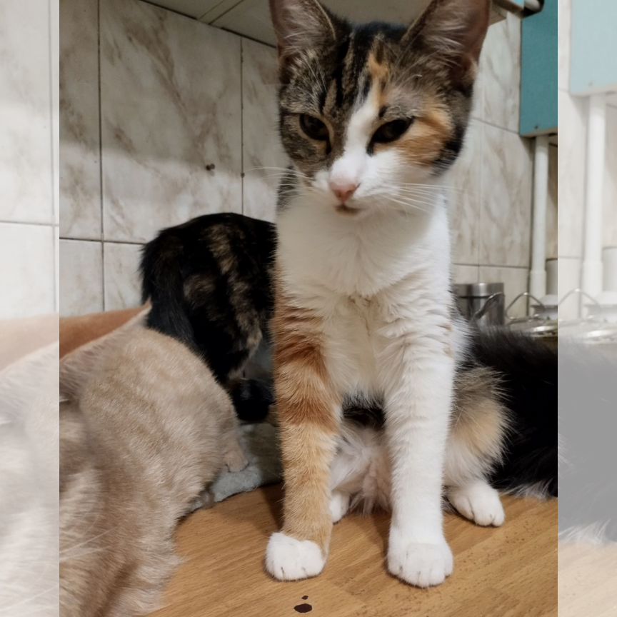 Малышка Камилла